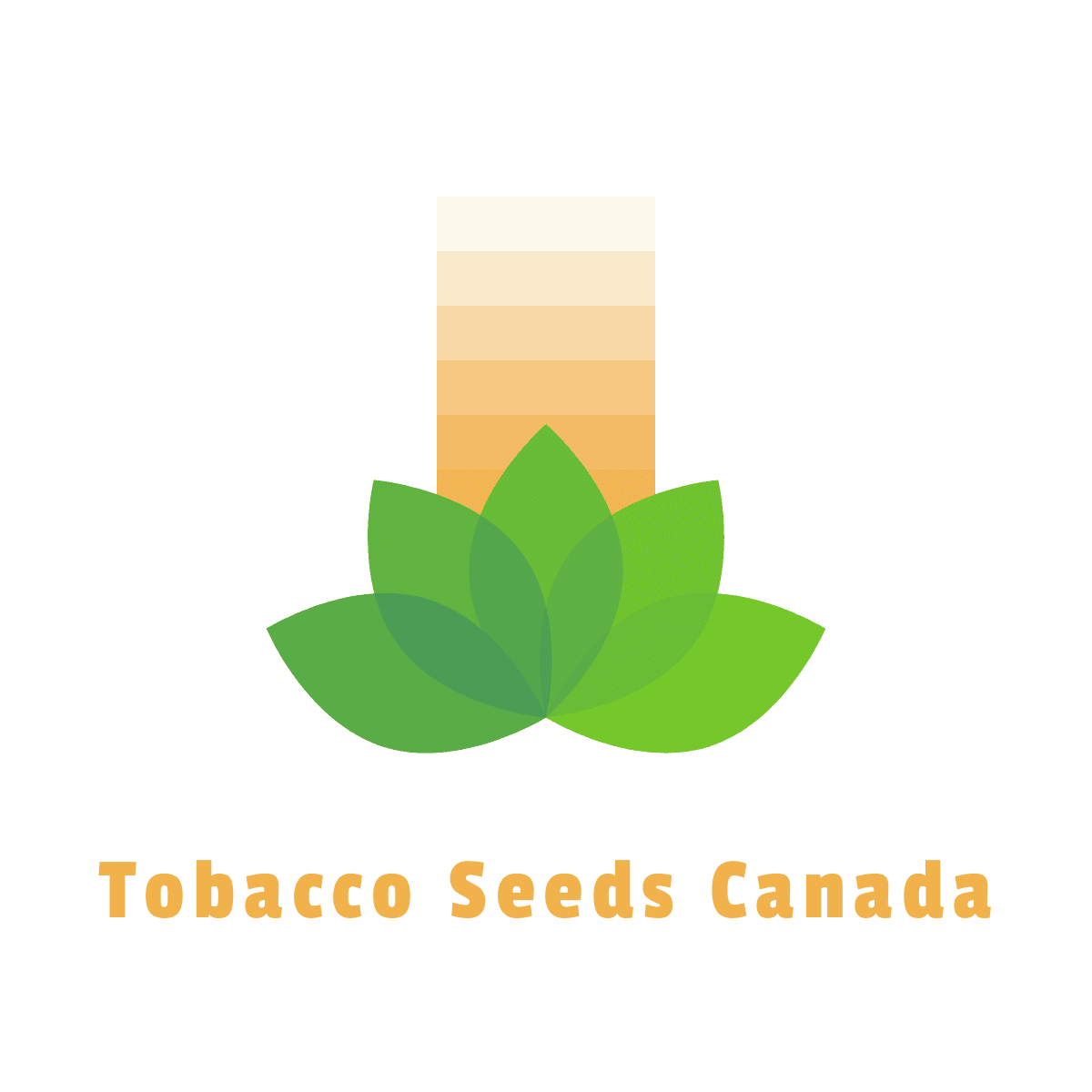 HOW TO GROW TOBACCO | Tobacco Seeds Canada